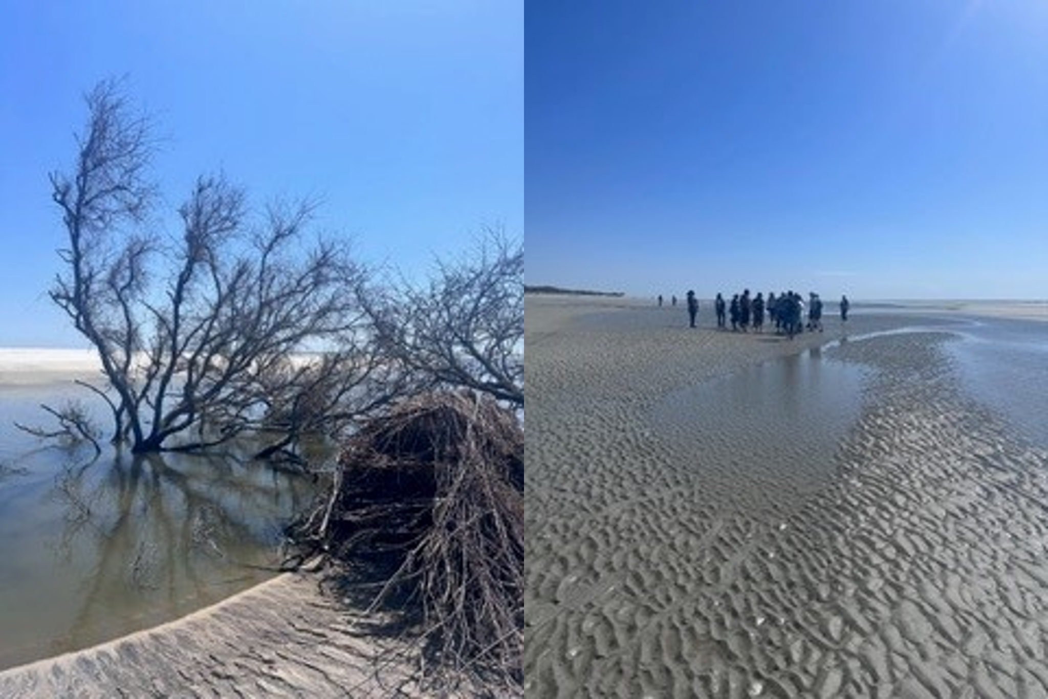 The Ocean Memory Project Visits UGAMI - Marine Institute